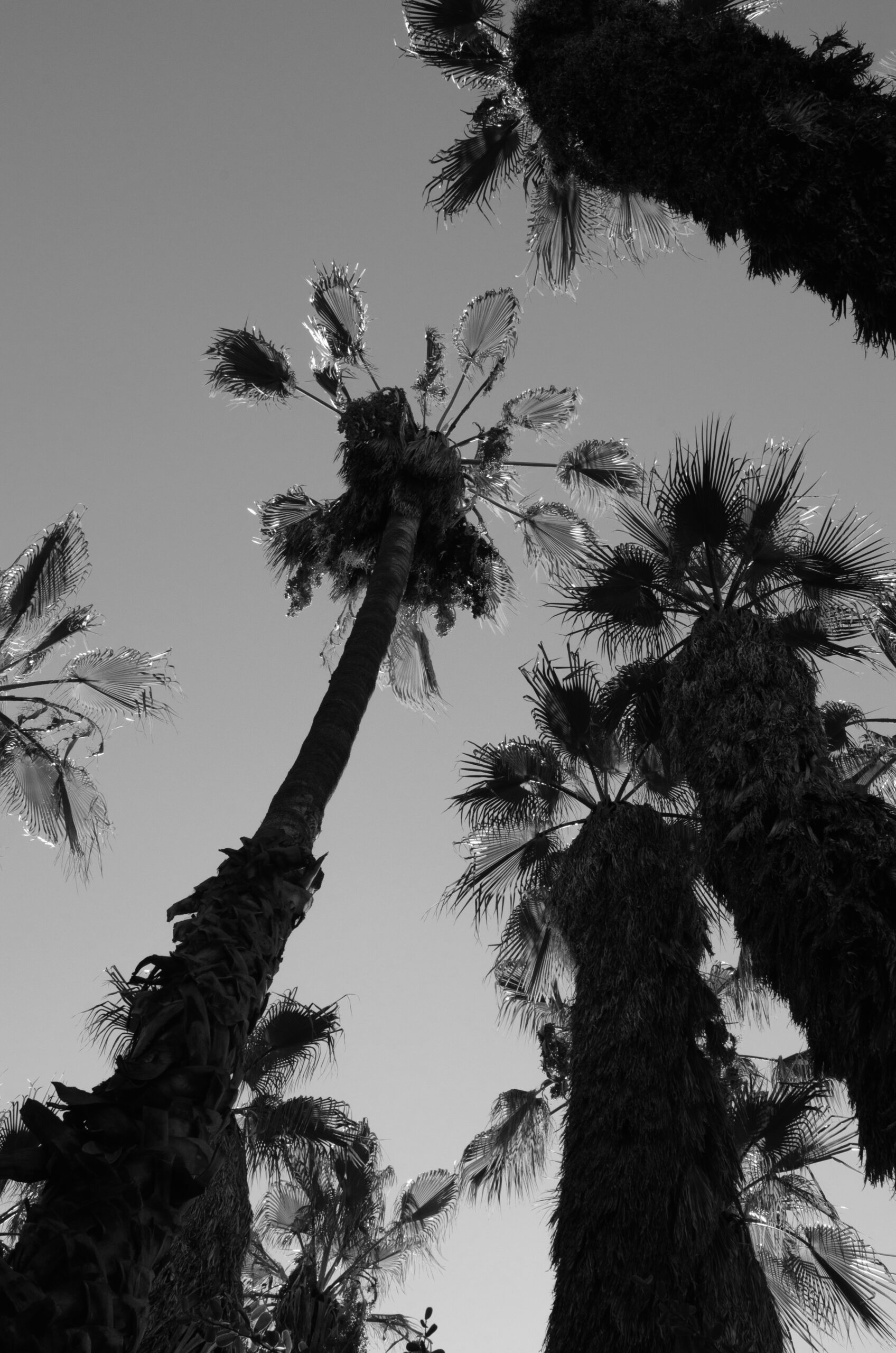 January Artist of the month: Sam Mathias - Virginia Eye Institute