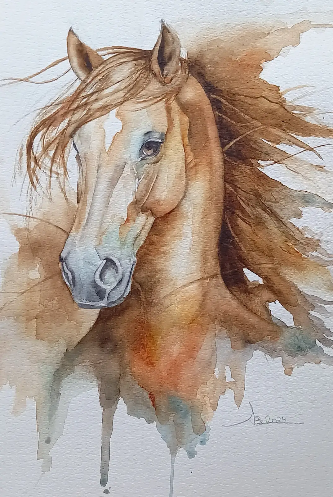 June Artist of the Month: Anne Allen - Virginia Eye Institute
