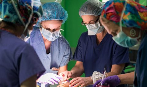 Surgical Services - Virginia Eye Institute